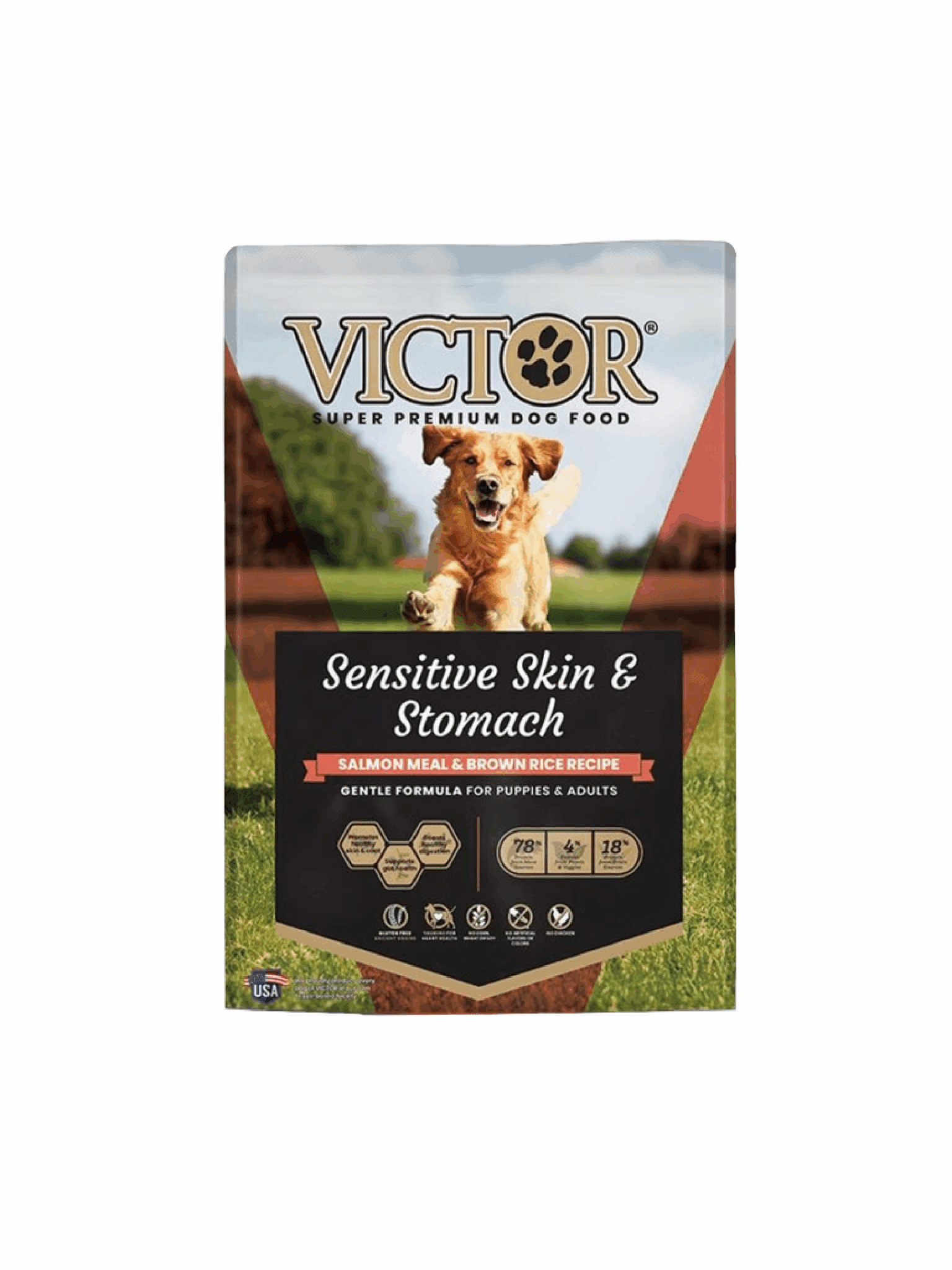 Victor Sensitive Skin & Stomach Salmon - The Farmers Den